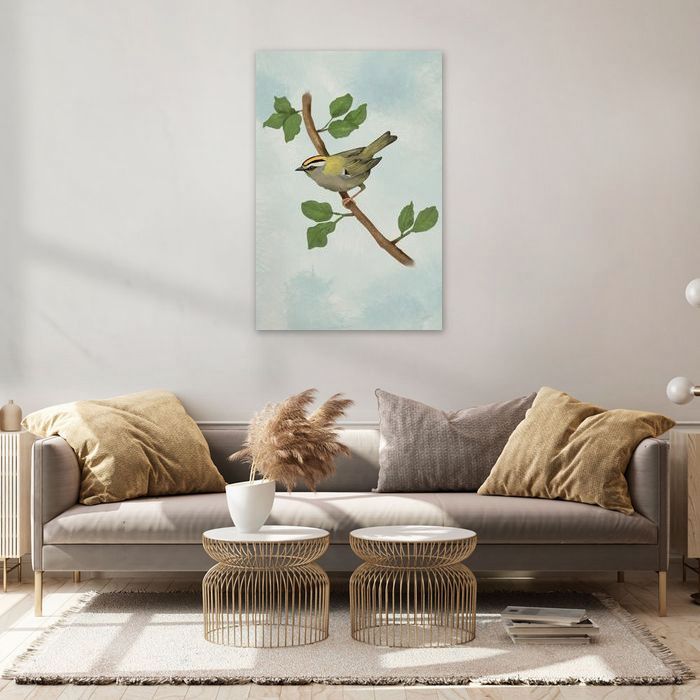 Olifant kop zijkant | Wanddecoratie - Sfeer aan de Muur